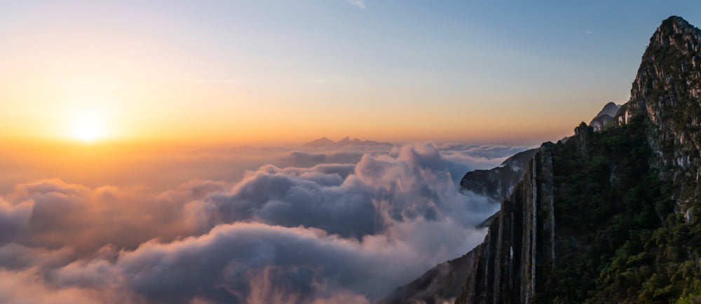 PICO UDEM Fine Art Prints – TÉA VENECIA